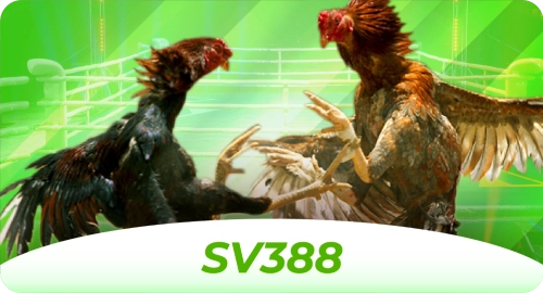 SV388